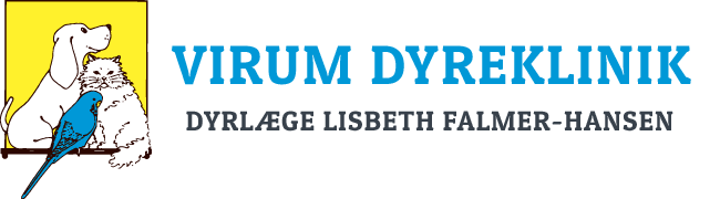 Din dyrlæge i Virum - Virum Dyreklinik